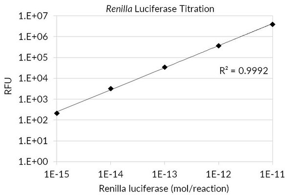 Renilla Luciferase Assay | SCT153